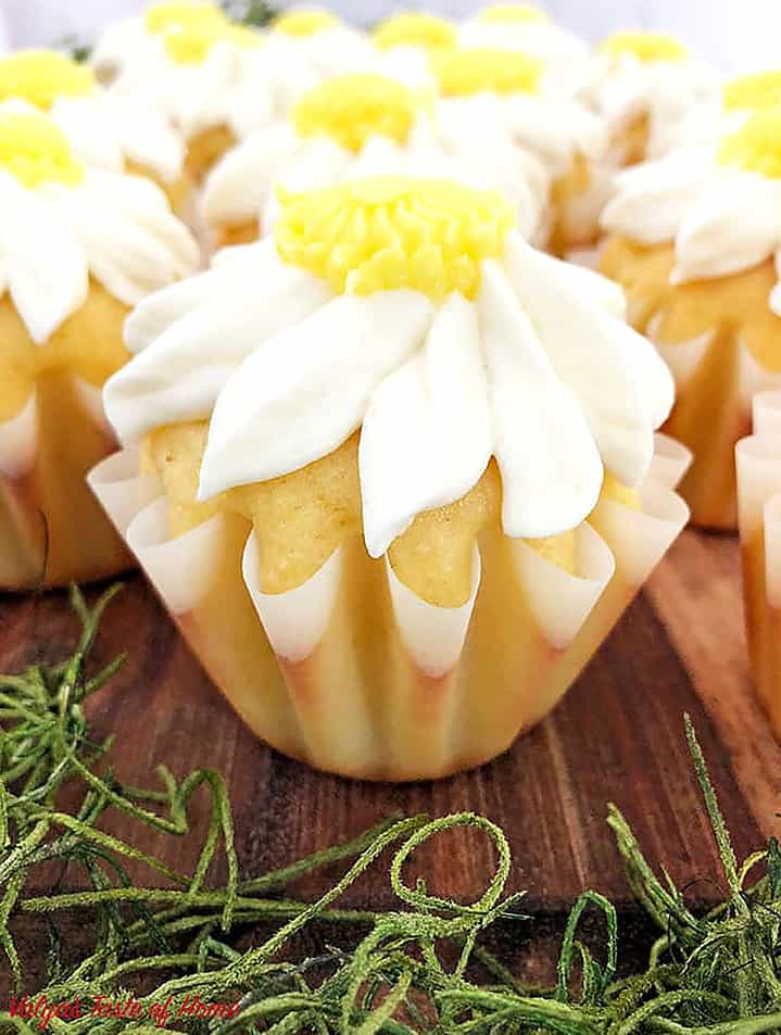 The Prettiest Daisy Cupcakes (Super Easy to Make!)