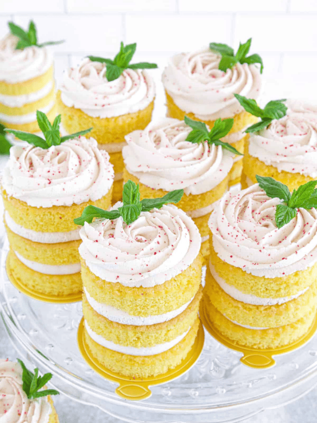 Raspberry Mini Cakes - Valya's Taste of Home